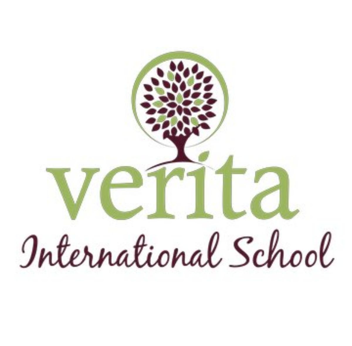 Verita International School