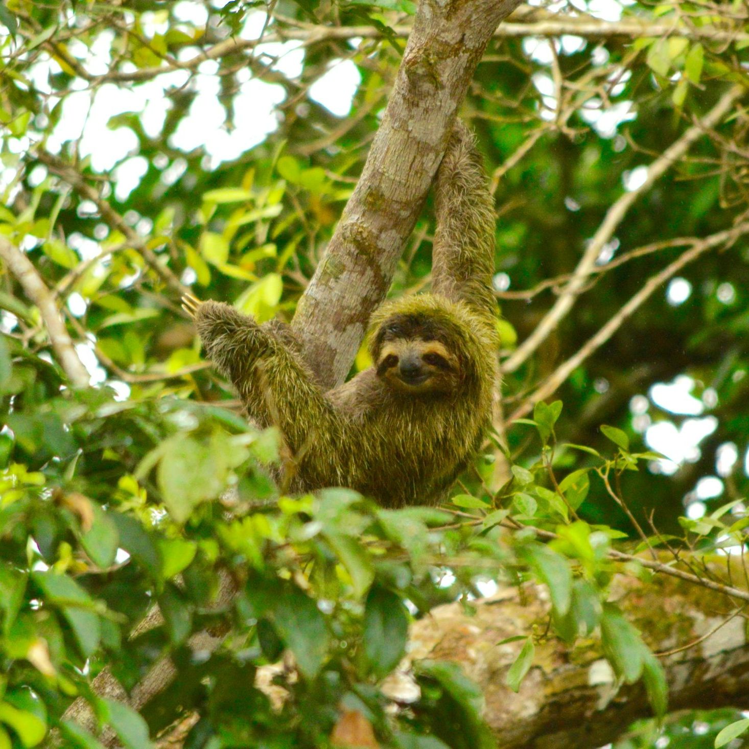 Zones of Costa Rica - Terranova Costa Rica DMC