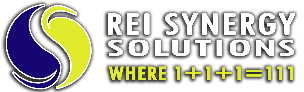 REI Synergy Solutions