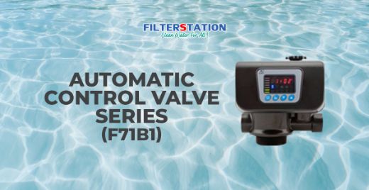 Automatic Control Valve Series (F71B1)