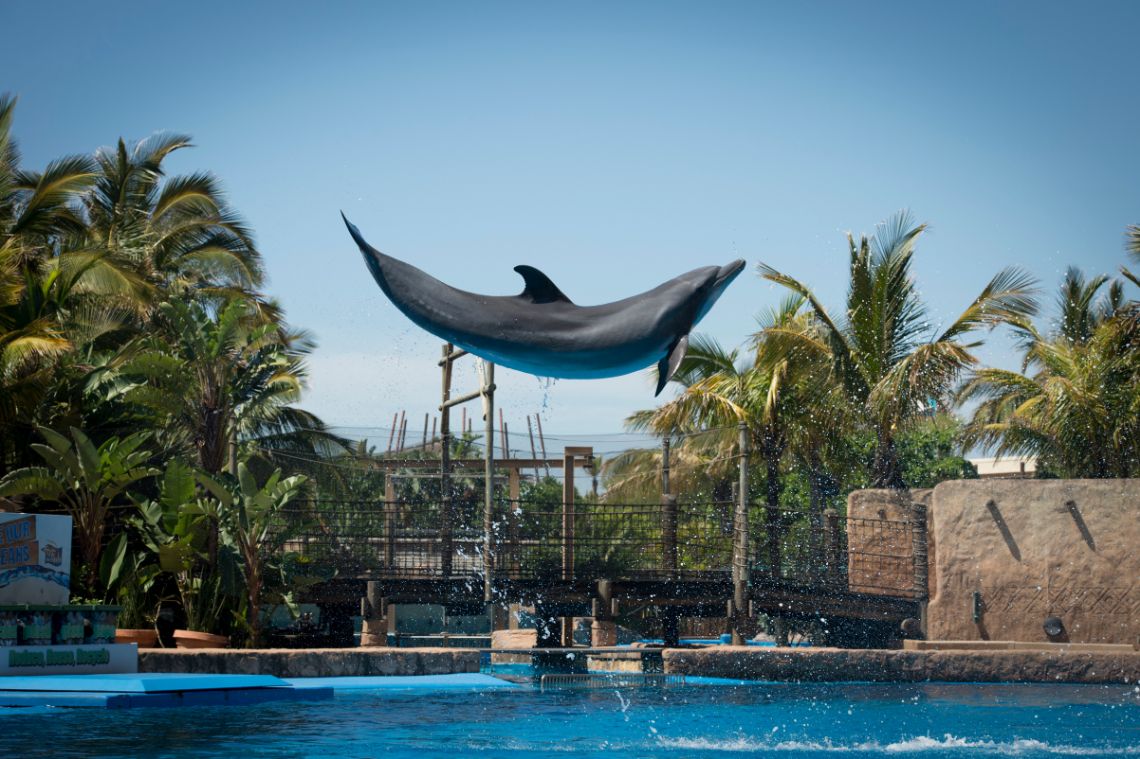 uShaka Marine World