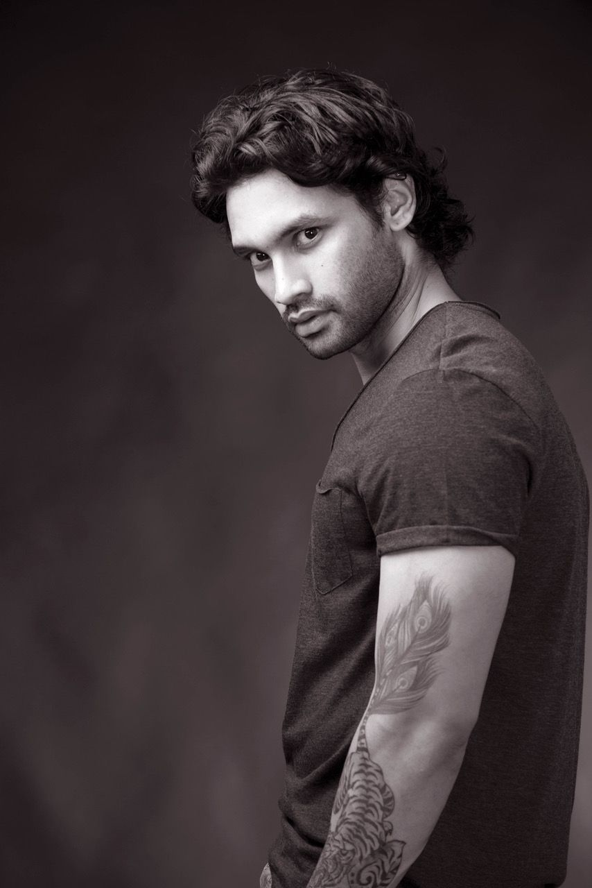 Dolphins by Starlight