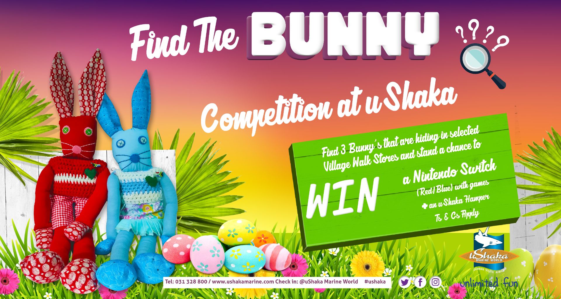 Find the Bunny