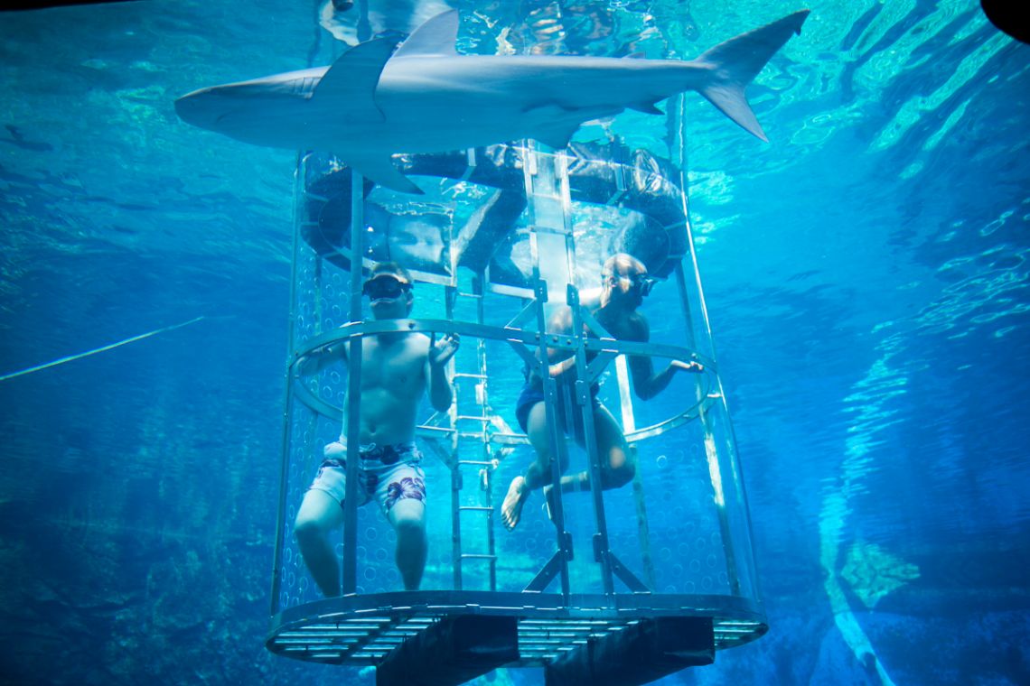 uShaka Marine World