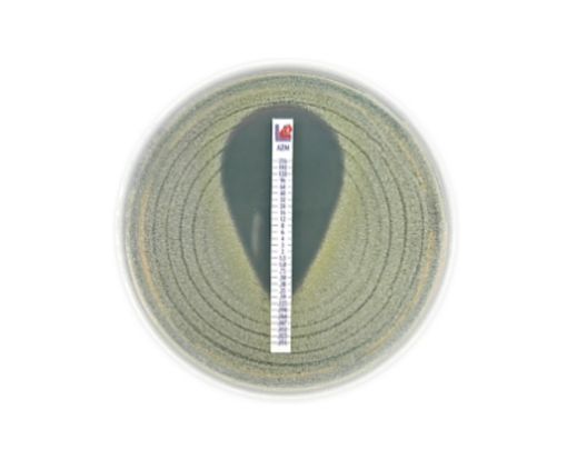 Microbiology Products