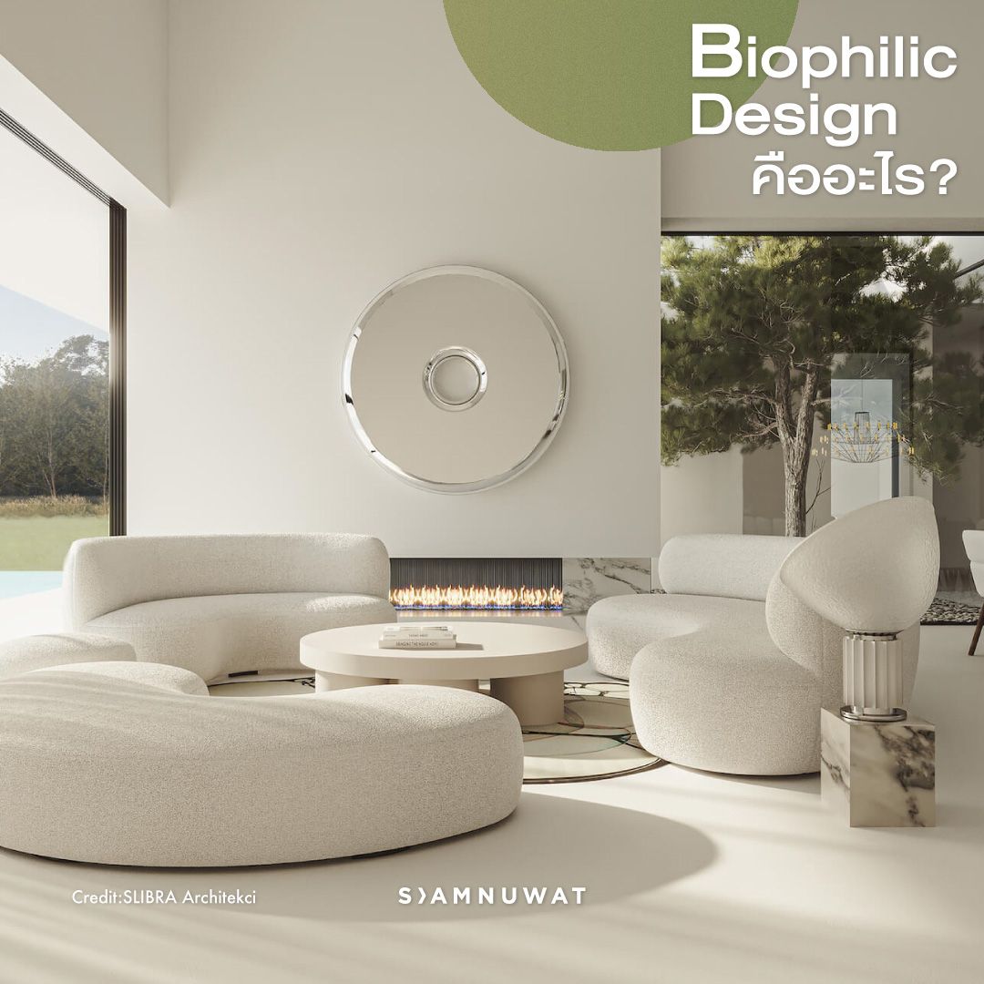 ไอเดียแต่งบ้านด้วยต้นไม้ Biophilic Design Trend