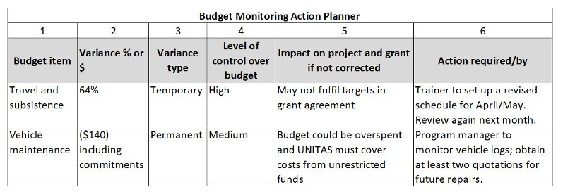Budget Monitoring Action Planner