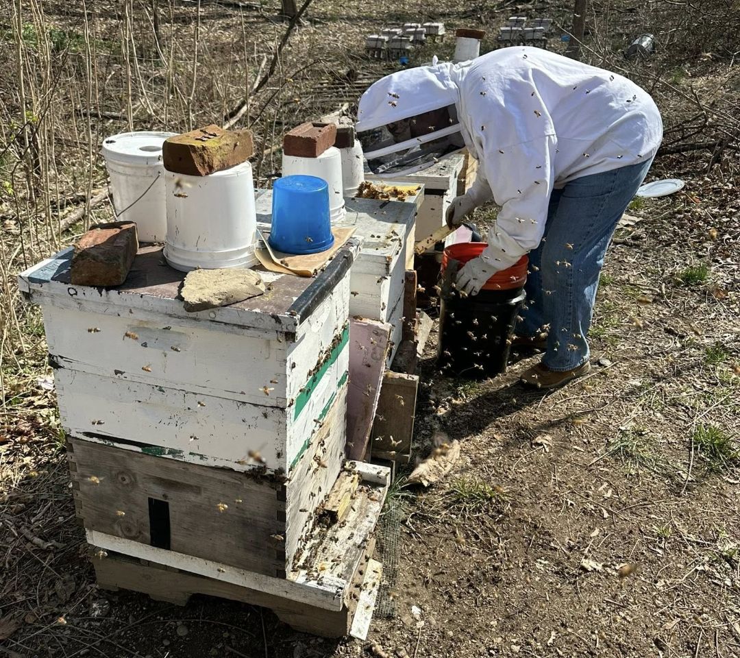 Homesteading Festival May 2025