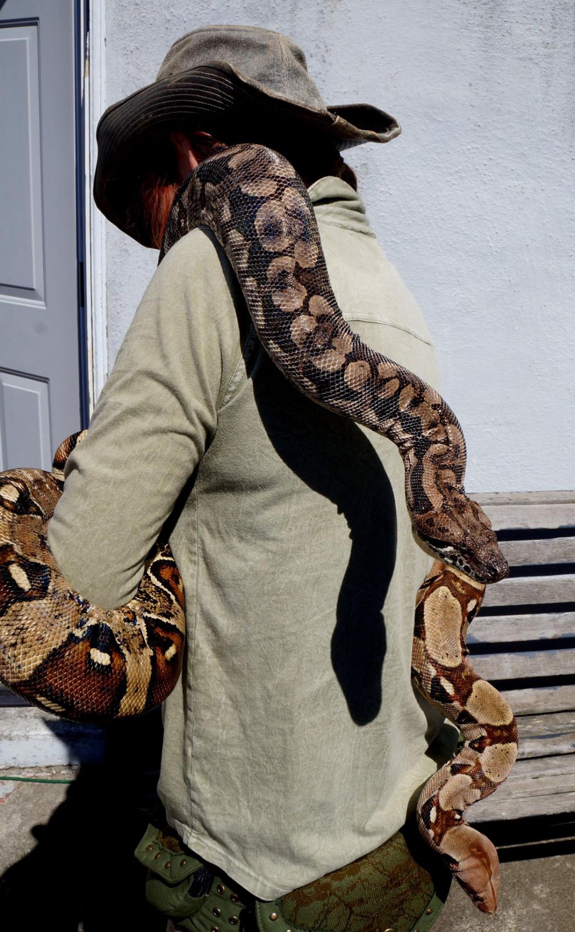 Our Reptiles - Reptile Shows in San Francisco, CA | Lizard Lady Reptiles