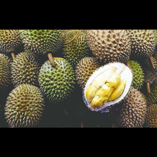 DSR Taiko Berhad - News