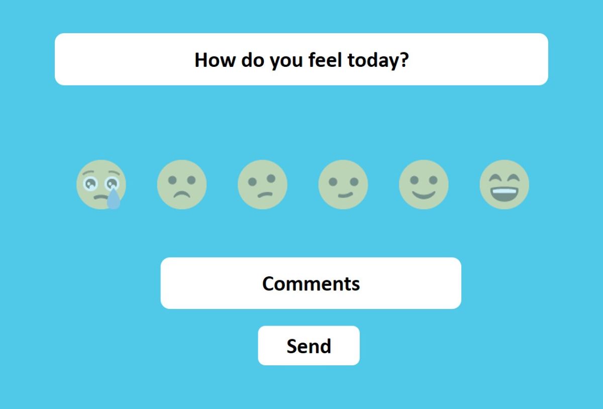 Assessment: Pulse survey