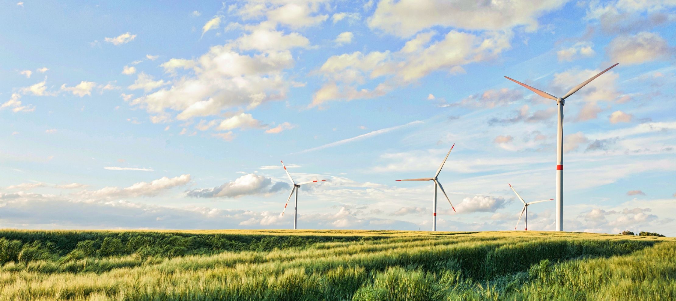 Environmental & Social Impact Assessment: A Keystone For Sustainable ...