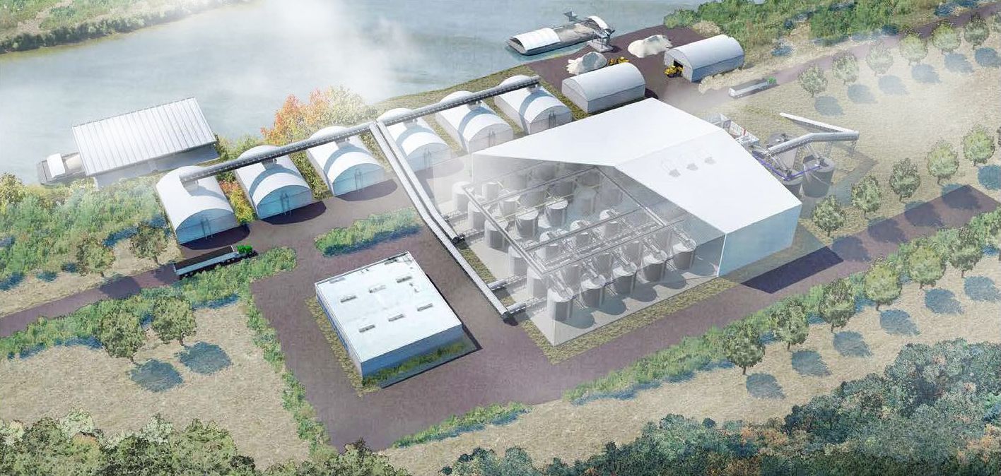 Emirates Chemical Factory