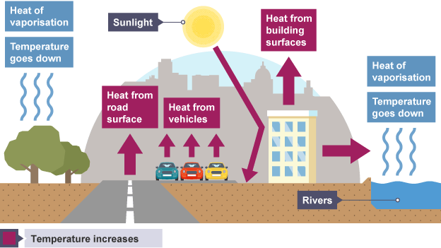 Microclimate Modelling: Shaping Sustainable and Resilient Urban Futures