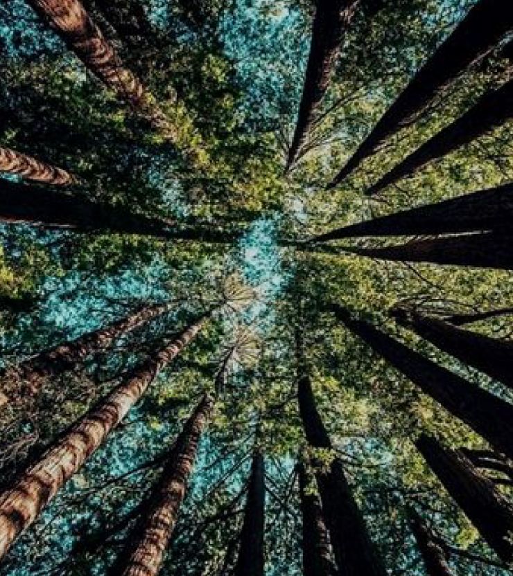 What We Do - ECOBUILD