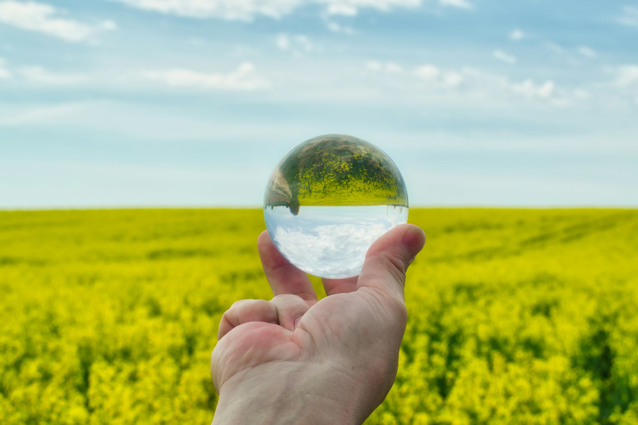 Environmental & Social Impact Assessment: A Keystone For Sustainable ...