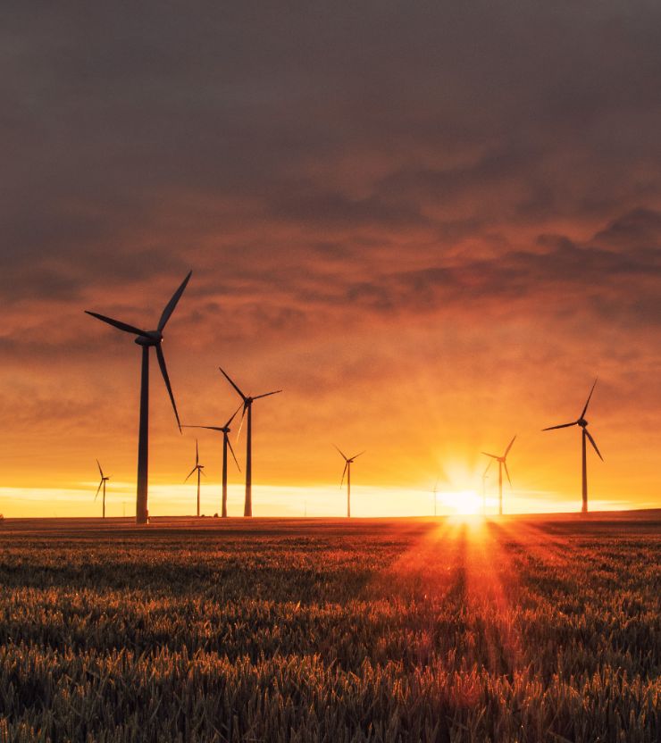 What We Do - ECOBUILD