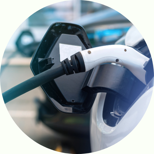 Paul Winter Consulting Ltd. | Project porfolio