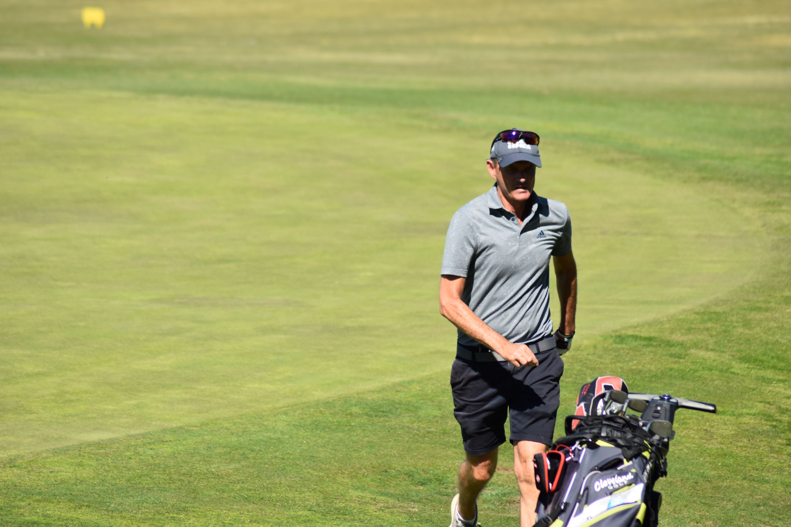 Spanish Pairs Montecastillo