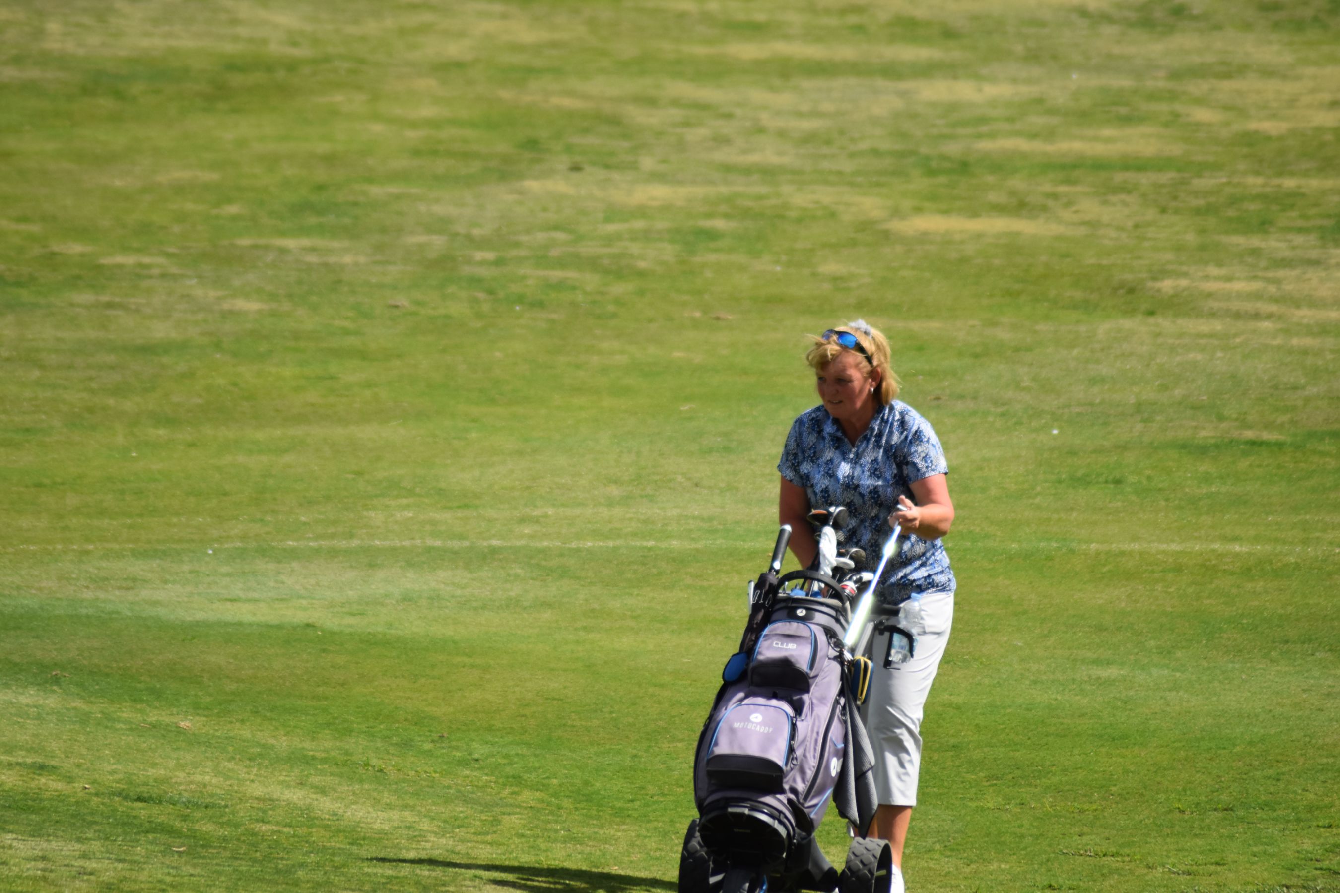 Spanish Pairs Montecastillo