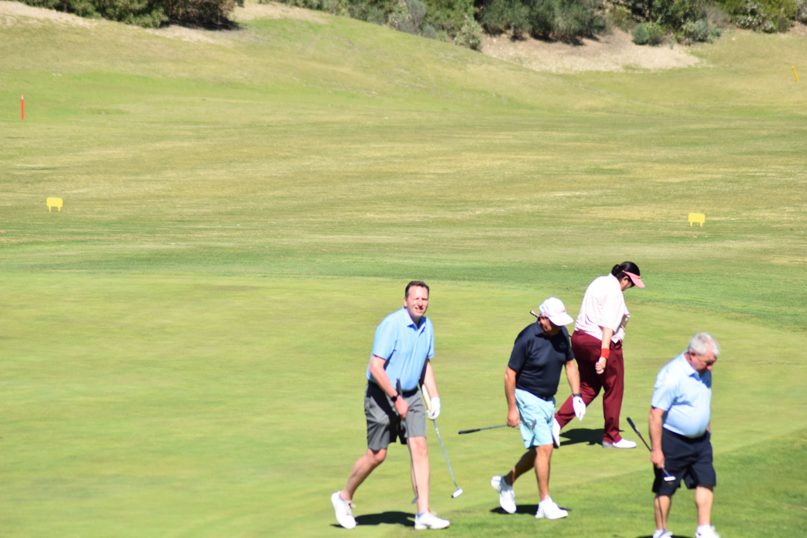 Spanish Pairs Montecastillo
